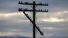 How to Survive if the Power Grid Goes Down | Newbie Prepper
