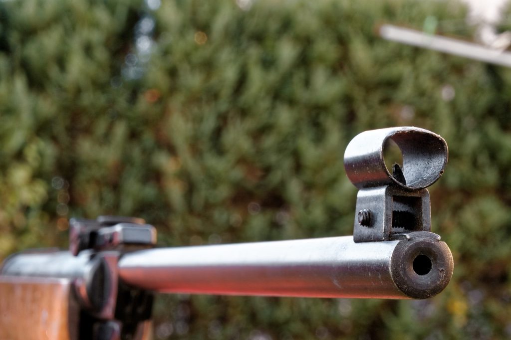 How Powerful is an Air Rifle: Everything You Need to Know Now – Newbie ...